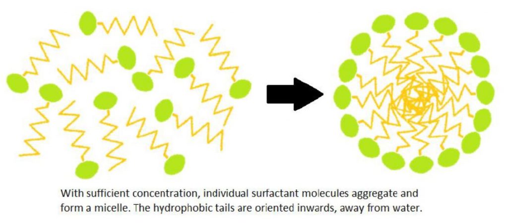 An Easy Guide to Understanding How Surfactants Work | IPC