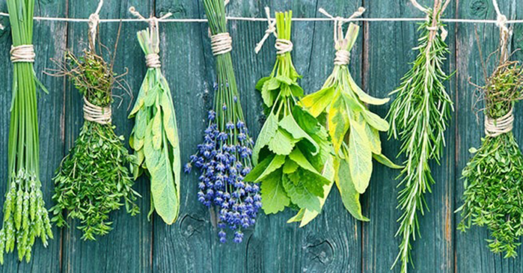 Cleaning for Botanical Soils | International Products Corporation